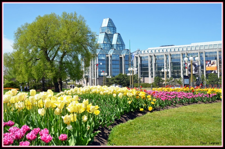 【カナダ】オタワに行くなら絶対行きたい観光地5選 - トラベルブック